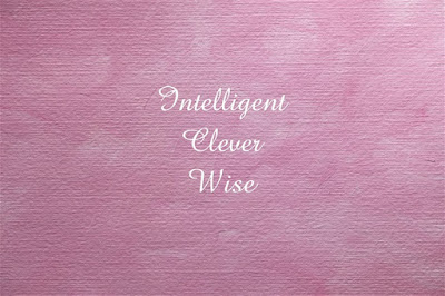 Questions and Curiosities: What is the difference between being wise ...