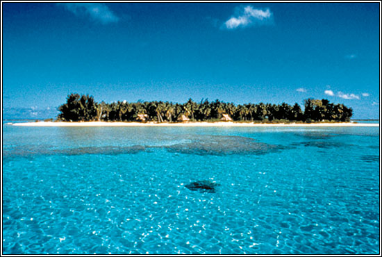 Kia Ora -Bay of Plenty The most beautiful place on earth - The Traveller