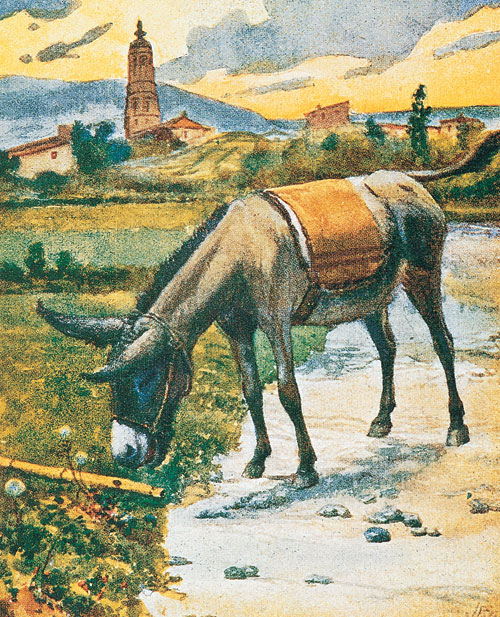 aprendiendo español con Lety y Juanfra: El burro flautista