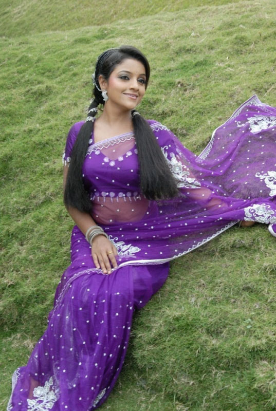 Tamil Actress Padmini Beautiful Purple Saree Photoshoot Without Water ...