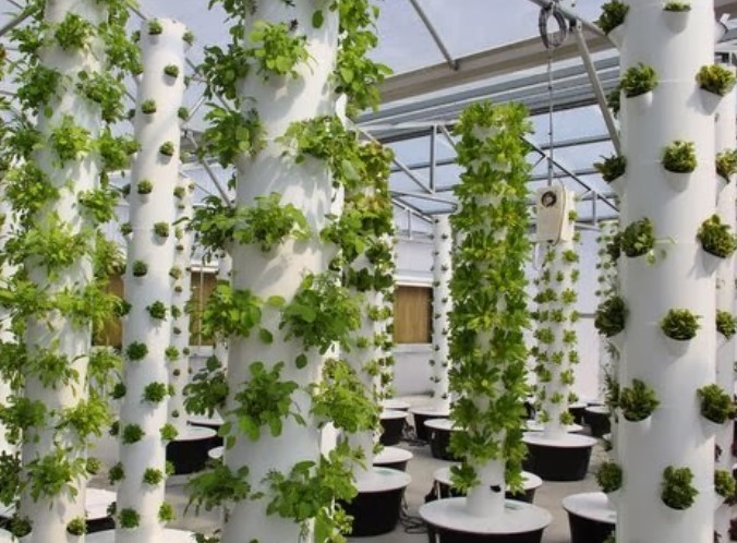 Baru 33+ Cara Bercocok Tanam Di Lahan Sempit