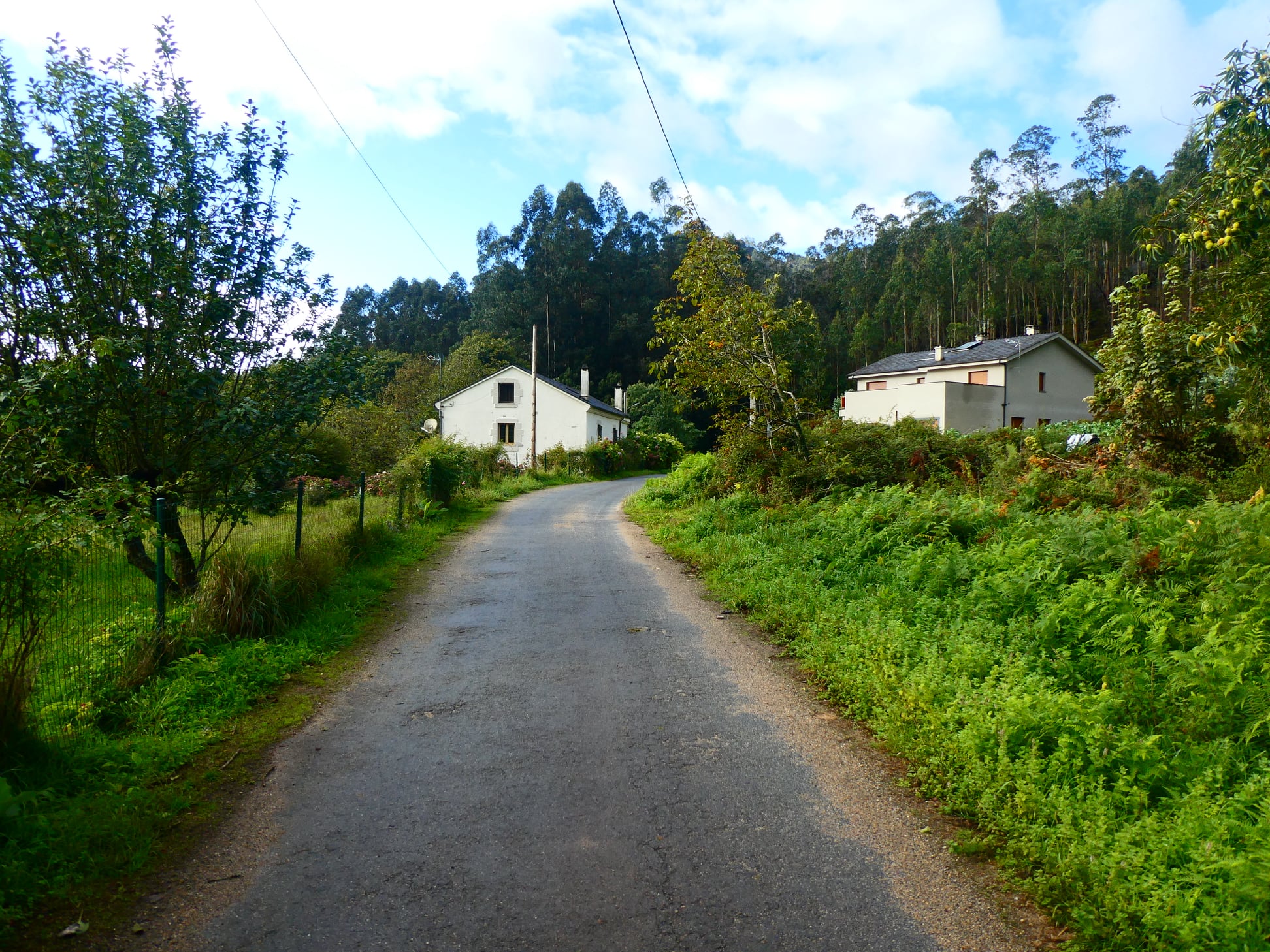 Xurde Morán: VILOALLE, EL COTO DA RECADIERIA Y SAN LÁZARO: ENLACE CON ...