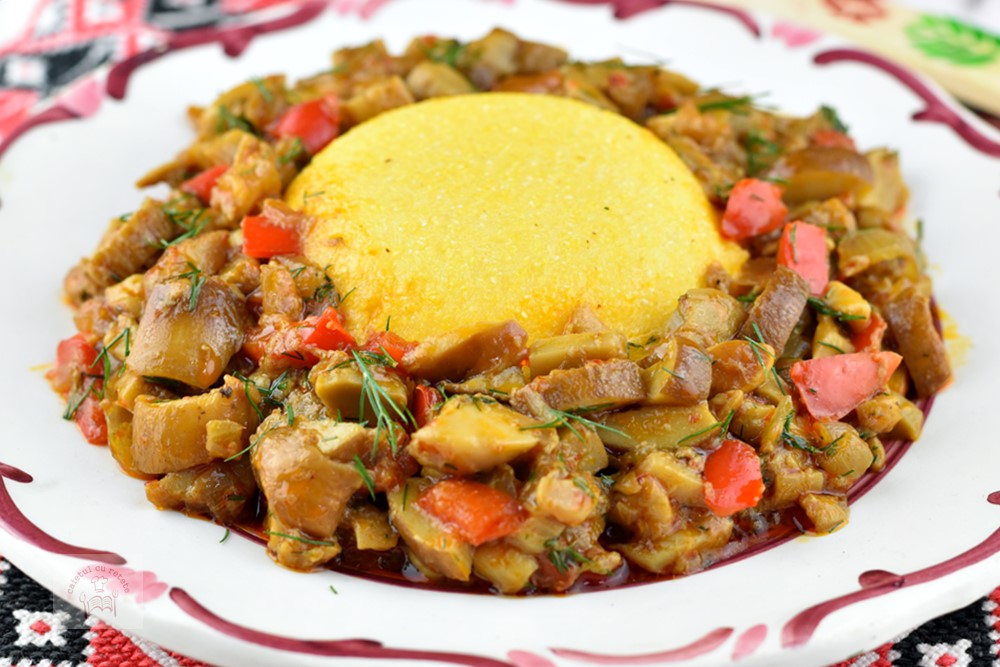 Tocanita de hribi - CAIETUL CU RETETE