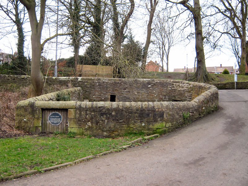 Photographs Of Newcastle: Ryton