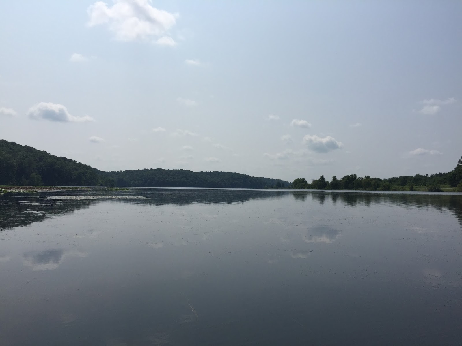 Kayaking Across Ohio: Lake Rupert: Damselflies' Playground