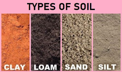 Basic Introduction To Soil