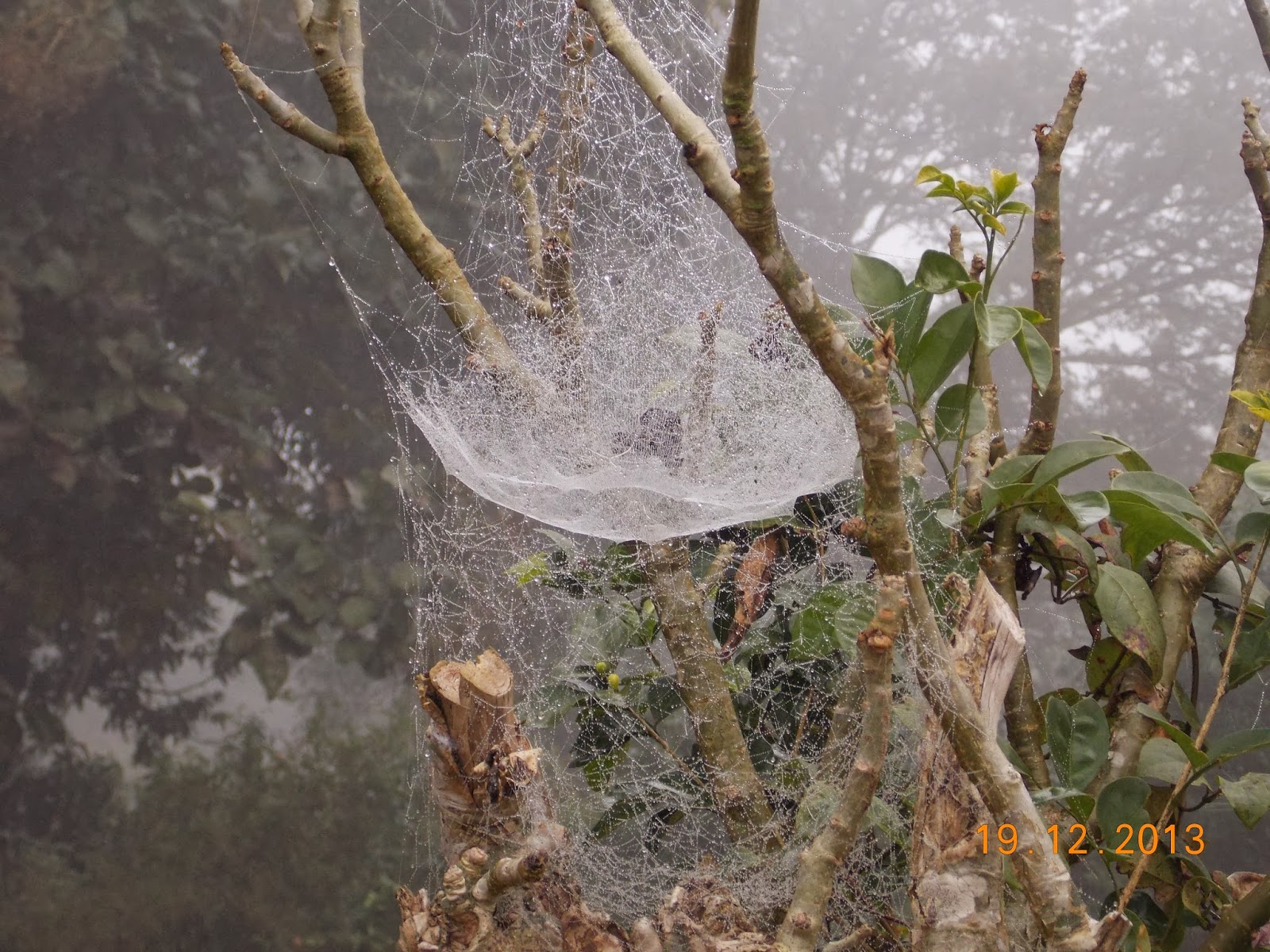 The way-farer's guide: Lammasingi Eco tourisim spot near Narasipatanam ...