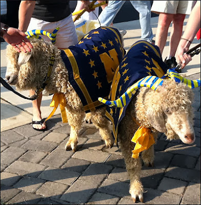Scott Wykoff's WBAL Radio Blog: Fear The Goat | WBAL Radio 1090 AM