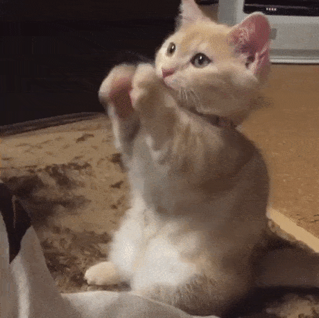 Mal's Gherkin Pram: March 2017