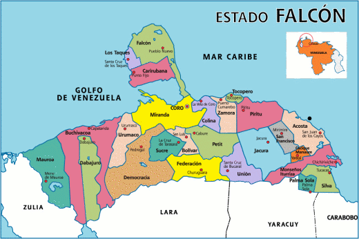 falco falcón: Falcón Venezuela