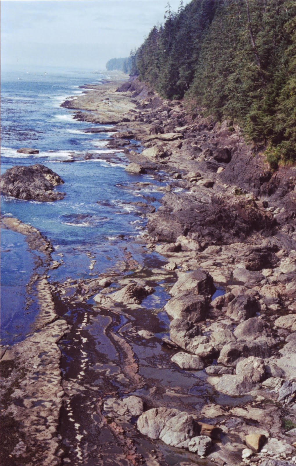 Life In A Nutshell: The Harsh Elements