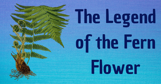 The Legend of the Fern Flower