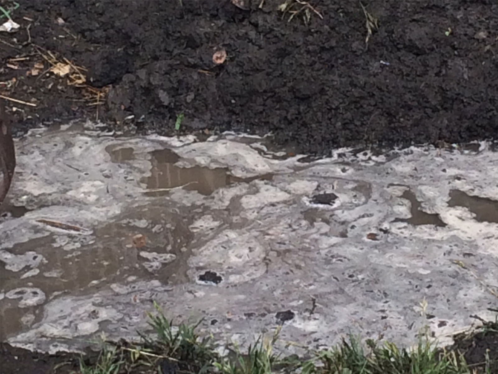 Afterschooling Blog: 11+ Backyard Stations