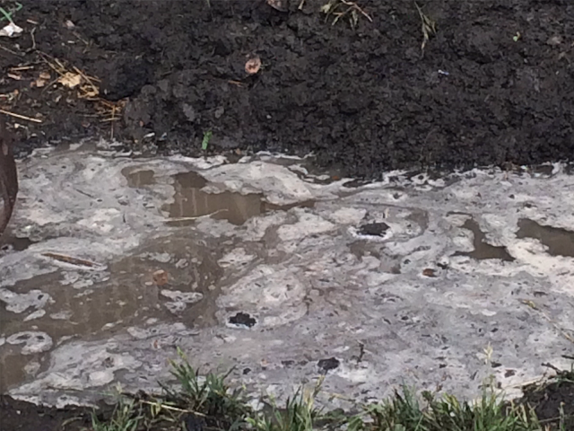 Afterschooling Blog: 11+ Backyard Stations