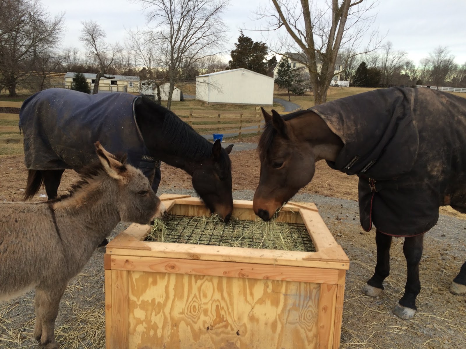 Building & Managing the Small Horse Farm: Winter Hay Feeding: Round ...