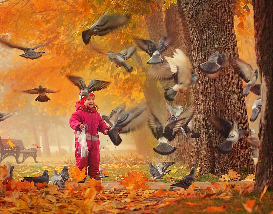 Beautiful World : Fresh Collection of Amazing and Funny Pics