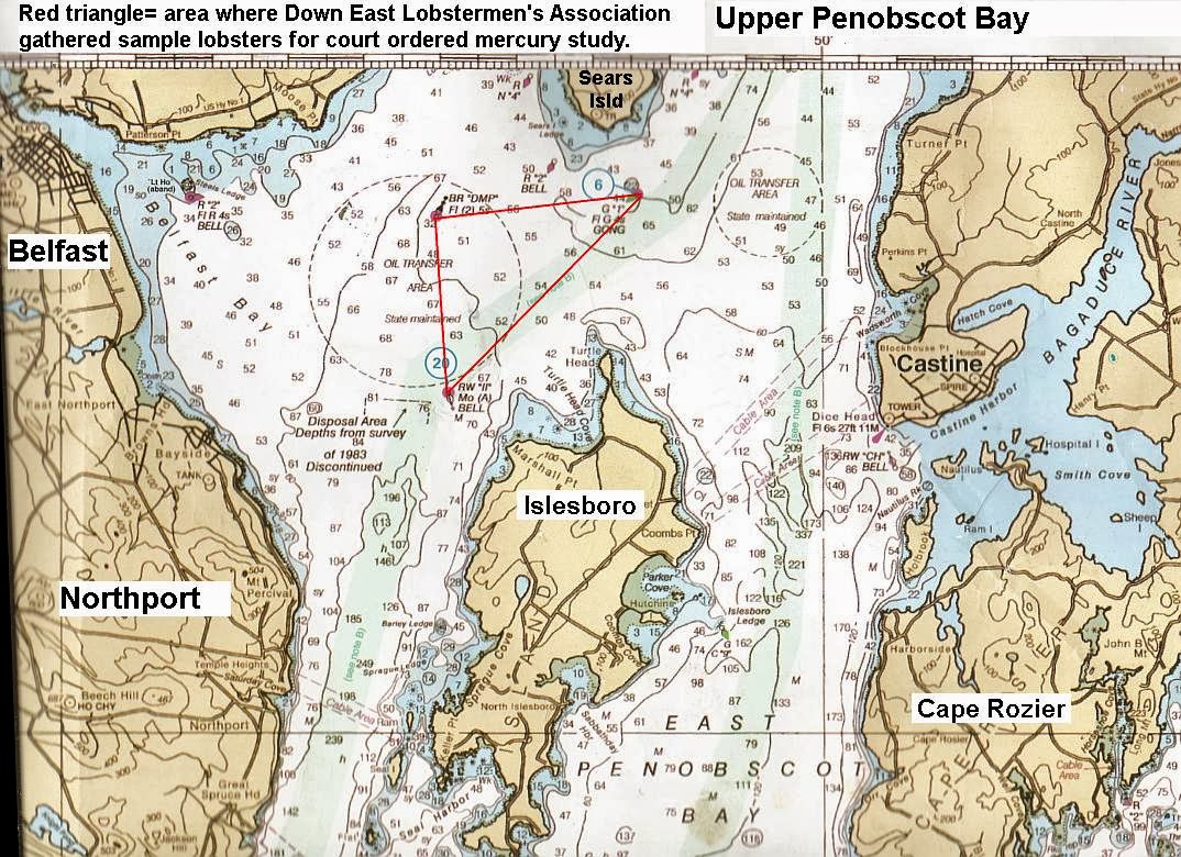 Penobscot Bay Blog: Sears Island: Testing biota for HoltraChem mercury.