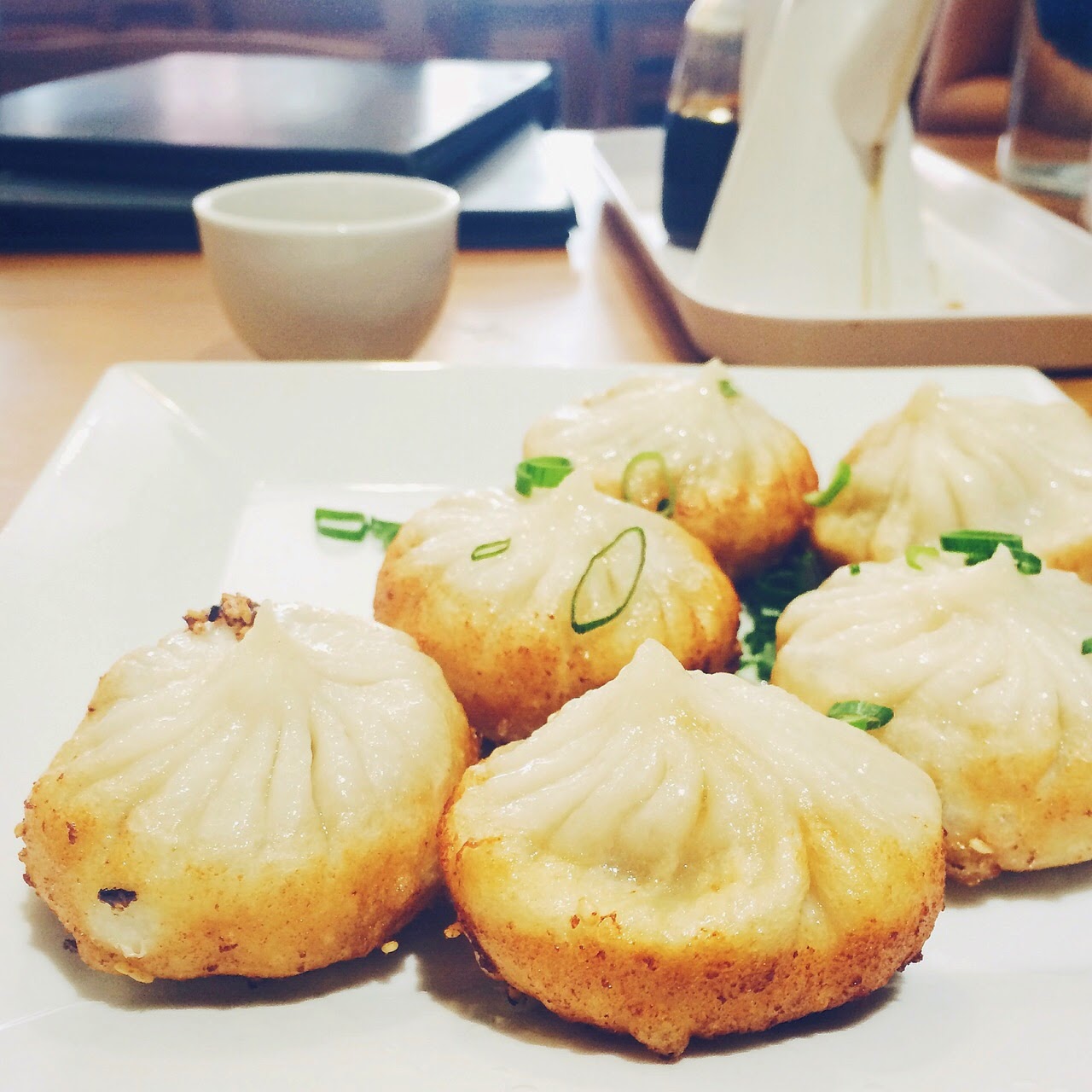 Eastern Dumpling House - Chik's Crib