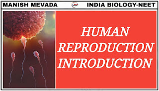 HUMAN REPRODUCTION - INTRODUCTION
