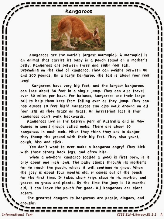 Dragon's Den Curriculum: Documentation and a FREEBIE