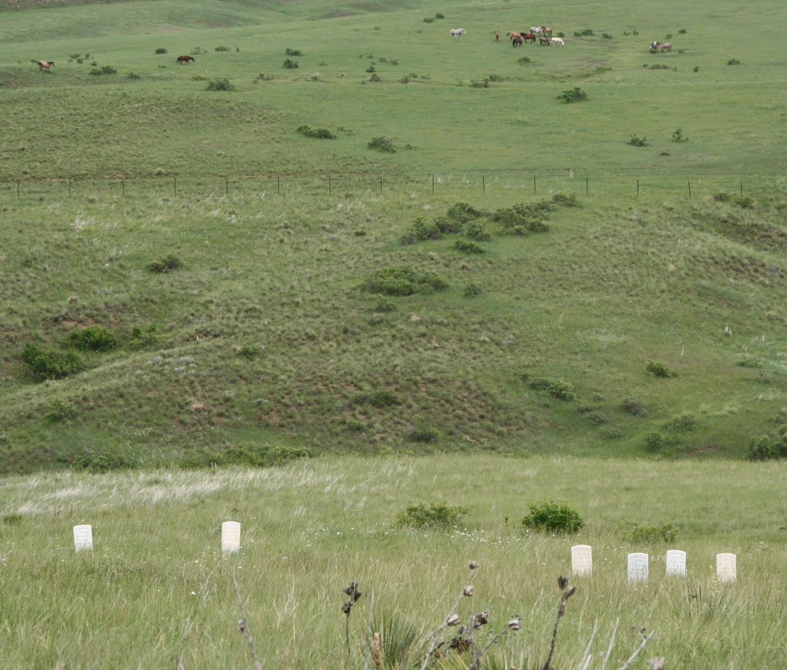 The Travels of LynDen Haus: A Clash of Cultures: Custer and the Great ...