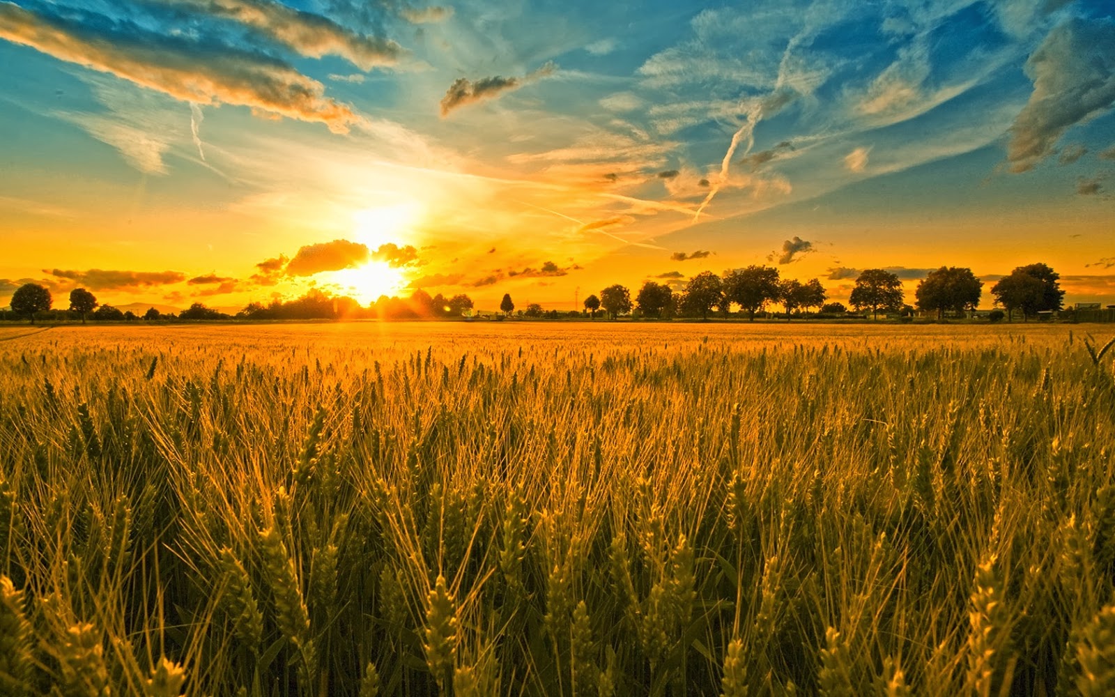 The Book Of Ruth Series God s Provision Lesson 9 the-book-of-ruth-series-god-s-provision-lesson-9