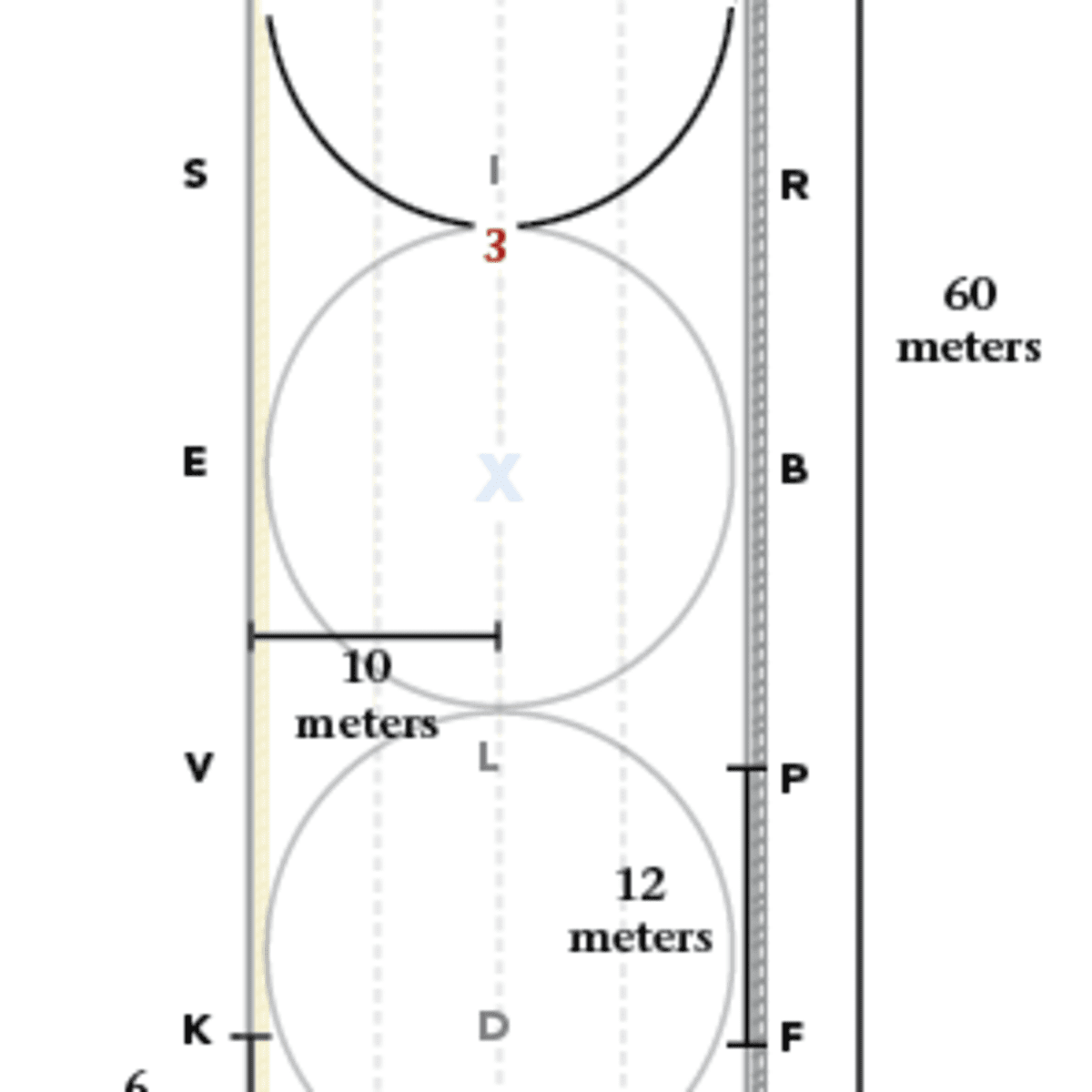 Dressage Arena Letters ~ Thankyou Letter