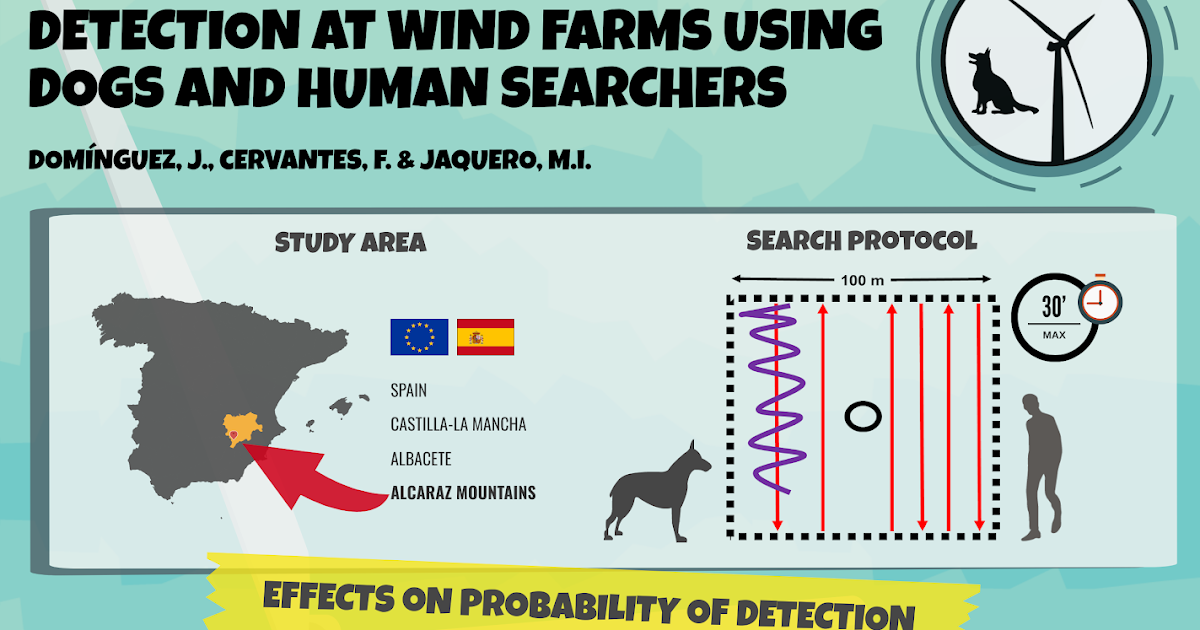 Bitacora Naturae: FACTORS AFFECTING CARCASS DETECTION AT WIND FARMS ...