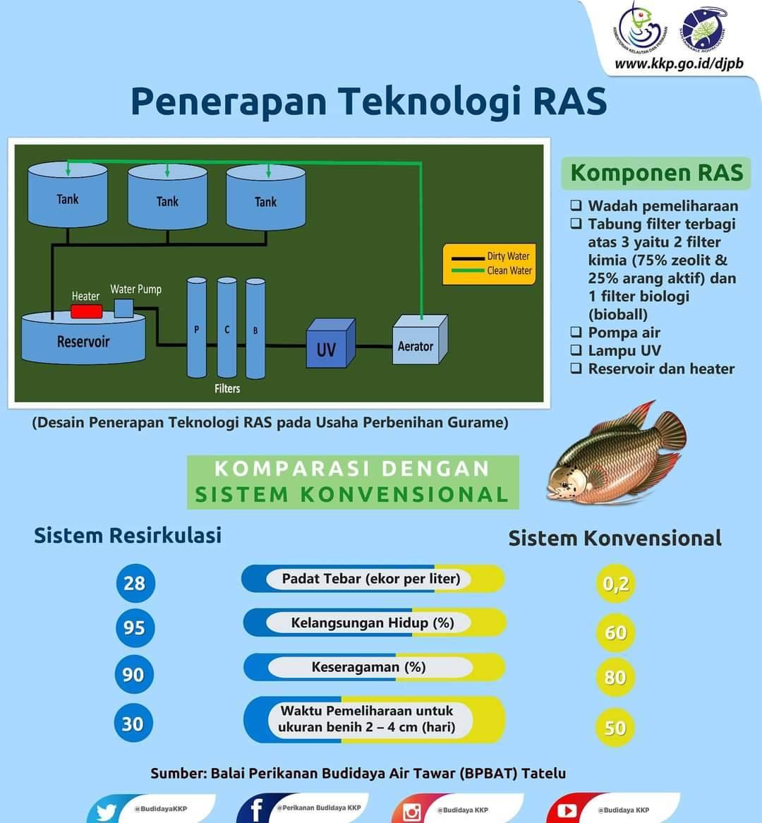 DINAS PERIKANAN HULU SUNGAI SELATAN: Apa itu Sistem RAS dalam Budidaya ...