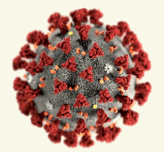 CestFranc: mars 2020