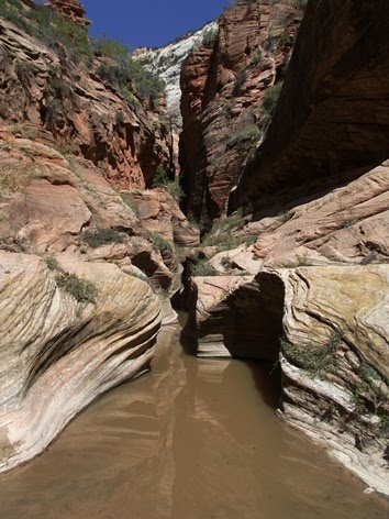 Discover the West: Zion Canyon from Observation Point