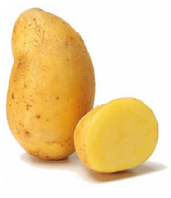 Le blog Cyber Marchands Sàrl à Courgenay: Avoir la patate