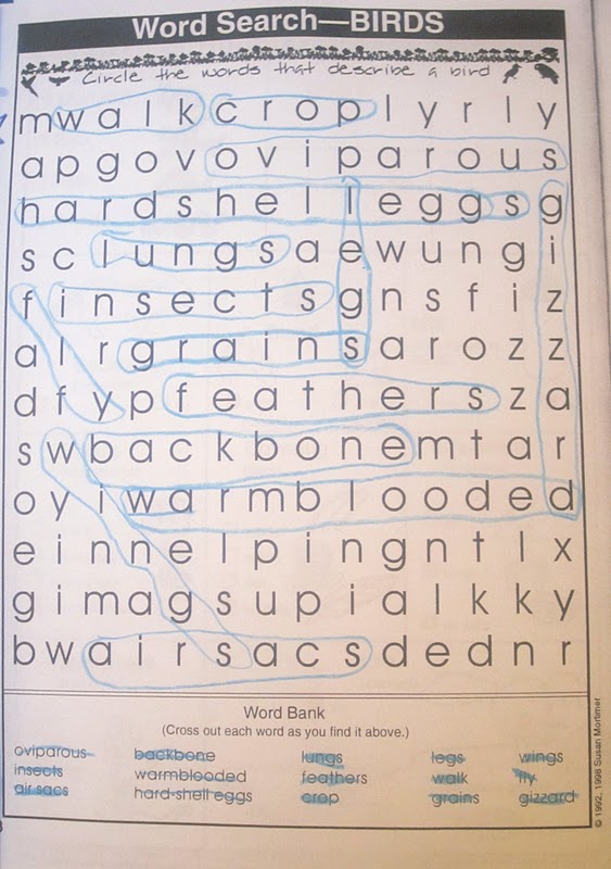 Harvest Moon by Hand: Black-Capped Chickadees - Outdoor Hour Challenge ...