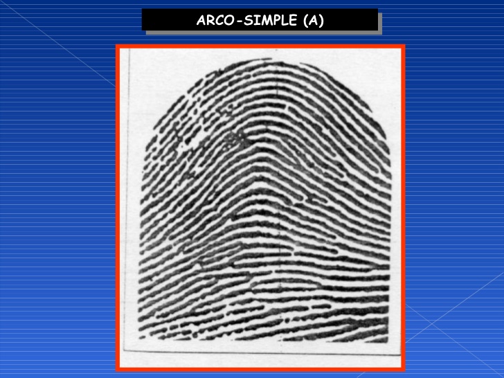 Diferentes Tipos de Dactilogramas