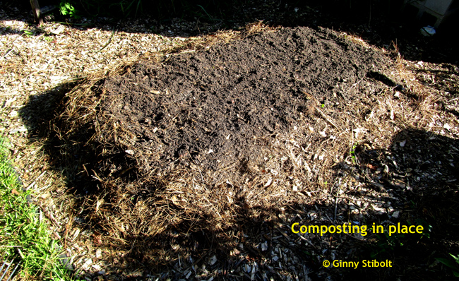 Green Gardening Matters: Enrich soil for crops by composting in-place
