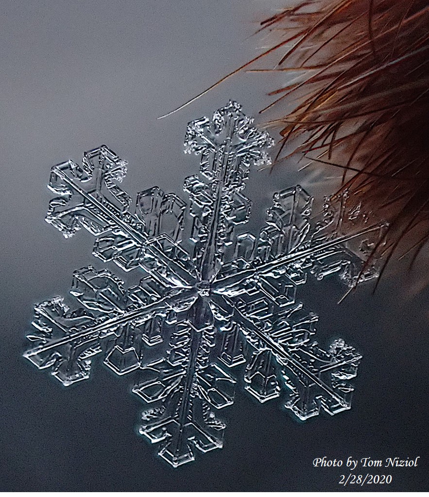 The Weather Around Us: Photographing Snow Crystals - On A Budget