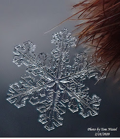 The Weather Around Us: Photographing Snow Crystals - On A Budget