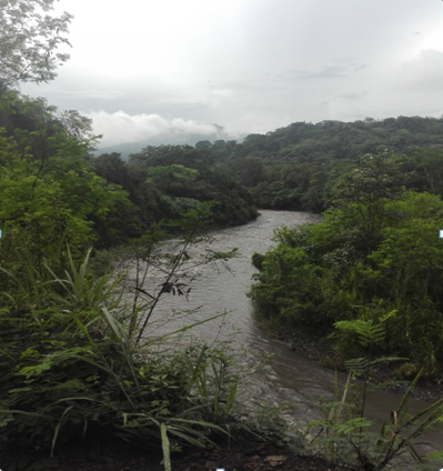 LEYENDA DEL SENDERO DEL MOHÁN | VIAJEMOS POR EL MUNDO MARAVILLOSO DE LA ...