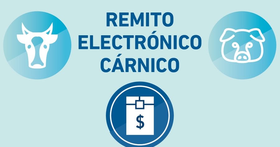 Planilla para importar el Remito Electrónico Cárnico manual