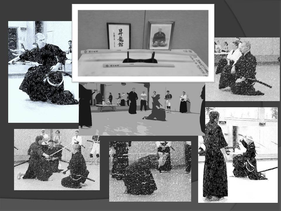 Muso Jikiden Eishin Ryu at Shoryukan Dojo, Alaska: 2016