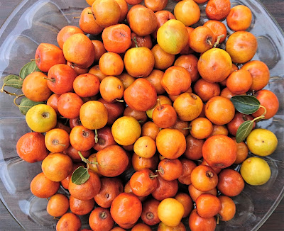 In my Iraqi Kitchen: Recipes, History and Culture, by Nawal Nasrallah