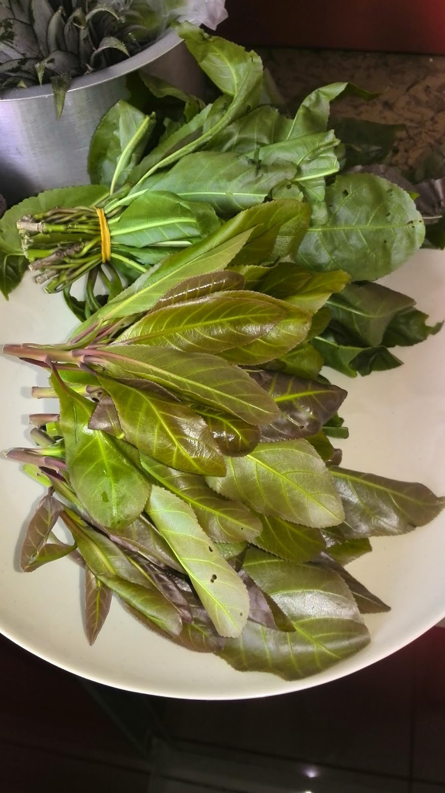 namakucella: ULAM PUCUK GENUAK a.k.a KERDAS