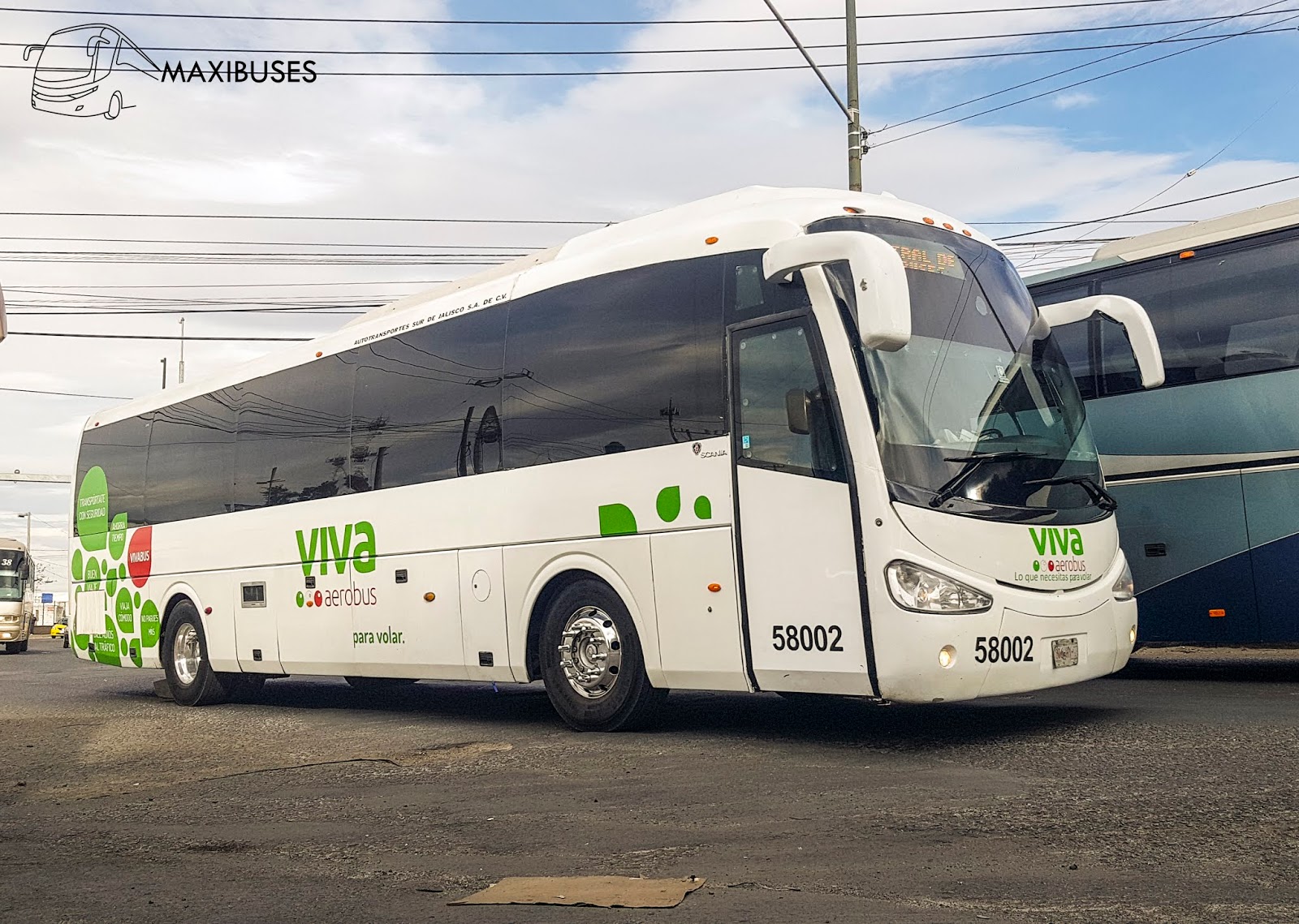 MAXIBUSES: AUTOBUSES SERVICIO VIVAAEROBUS