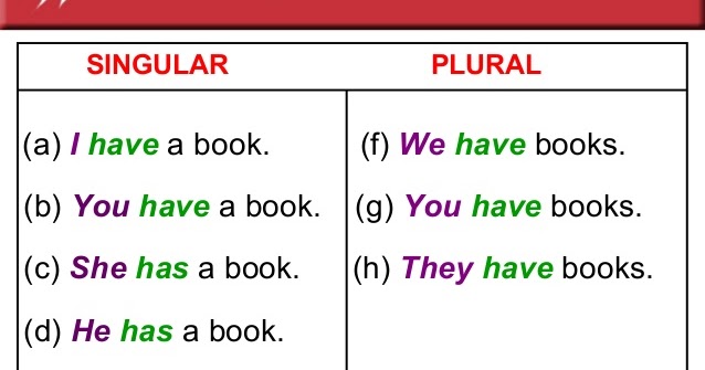 English Lab 2nd grade: Verb "Have"
