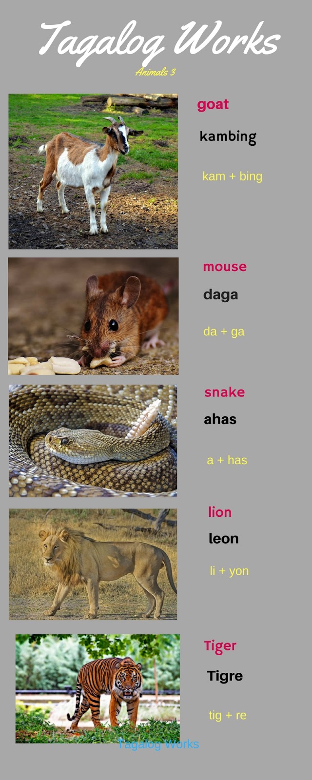 Animals in Tagalog