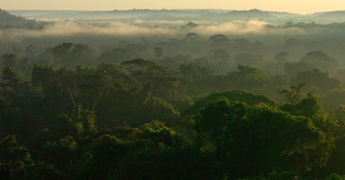 FUNDO AMAZÔNIA - Na conta do Planeta Terra
