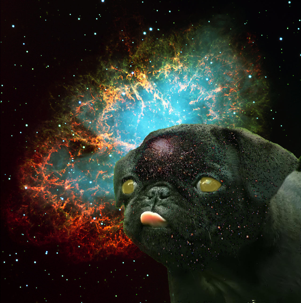 Jody's Fantastic Blog of Art And Such: SPACE PUGS