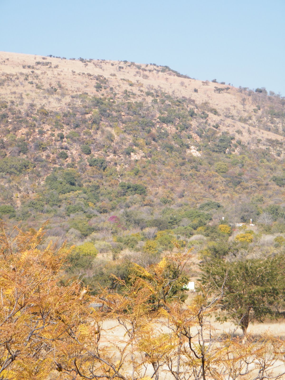 Julia goes to South Africa: Konka Camps