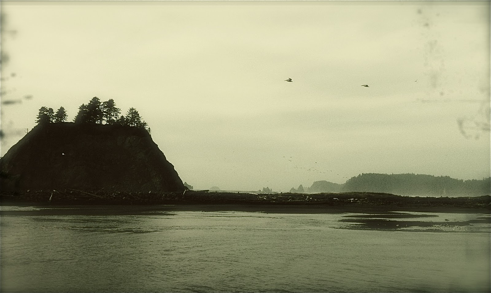 T.: First Beach. La Push. Quileute Indian Reservation