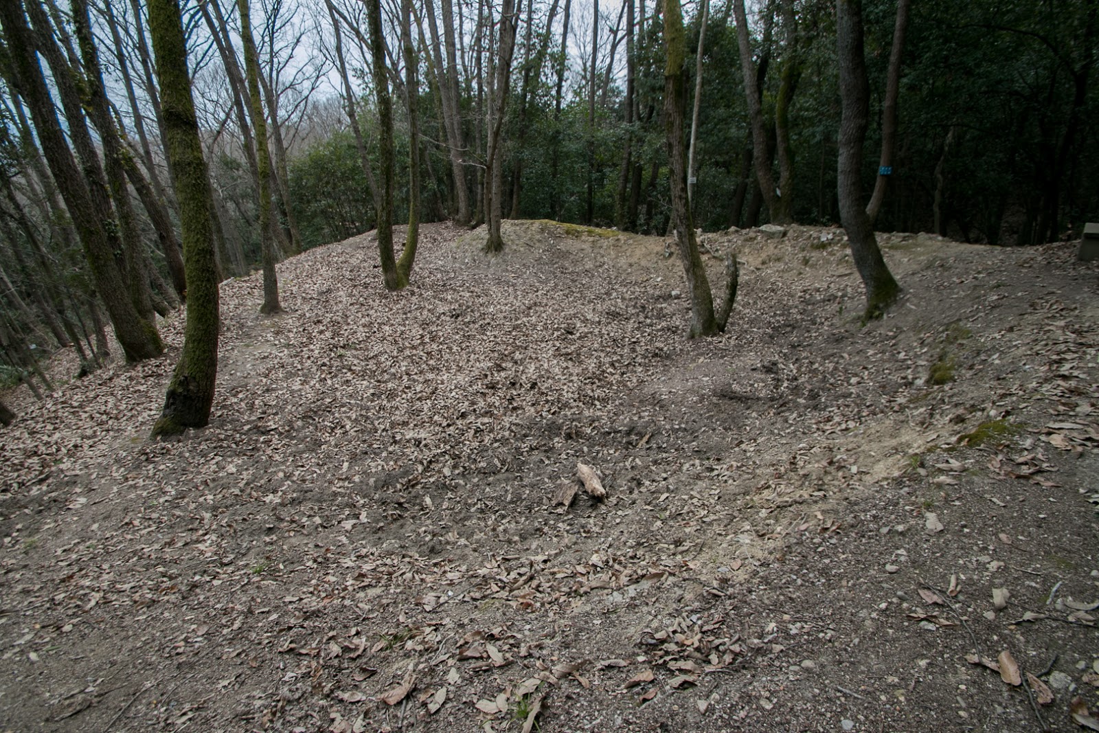 Niitakayama Castle -Intellectual pillar of Mouri clan (2)- | Japan ...